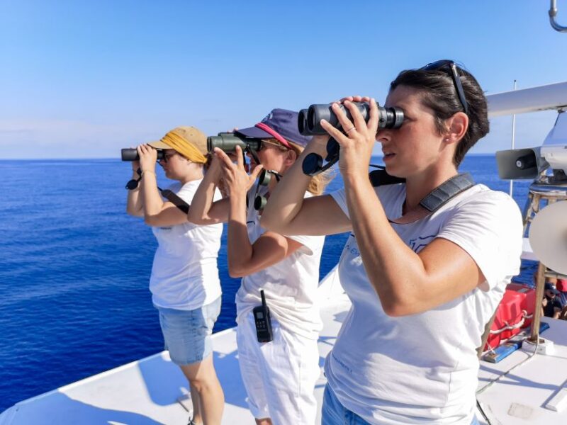 Genoa: Cetacean Watching Cruise with Marine Biologist Guide - Key Points