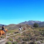Gerês Braga: Horseback Ride in Peneda Gerês National Park - Who Should Consider This Experience?