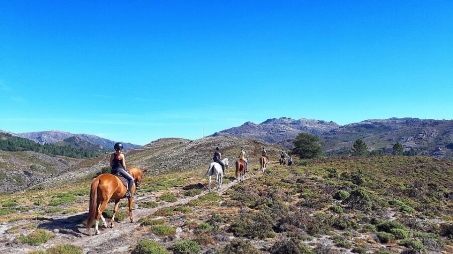 Gerês Braga: Horseback Ride in Peneda Gerês National Park - Who Should Consider This Experience?