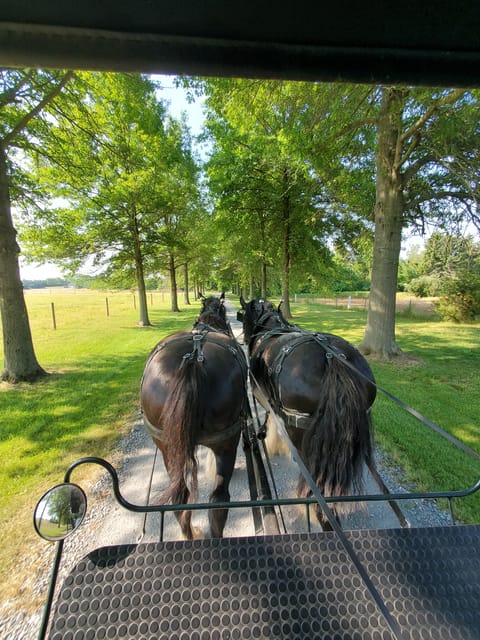 Gettysburg: Horse-Drawn Carriage Tour Countryside & Orchards - Gettysburg: Horse-Drawn Carriage Tour Countryside & Orchards