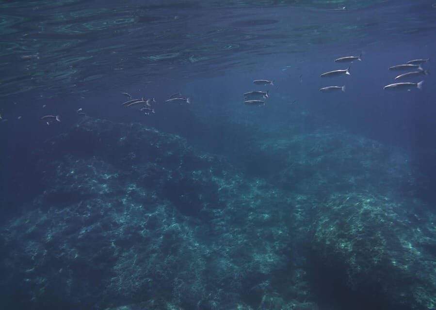 Giardini Naxos - Taormina 2 hours boat tour with snorkeling - Practical Details and What to Expect