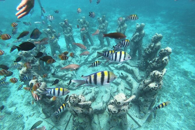 Gili Trawangan,Gili Meno& Gili Air Island:Snorkeling Day Trip Depart from Lombok - Exploring Lombok’s Underwater Paradise: The Gili Islands Snorkeling Day Trip