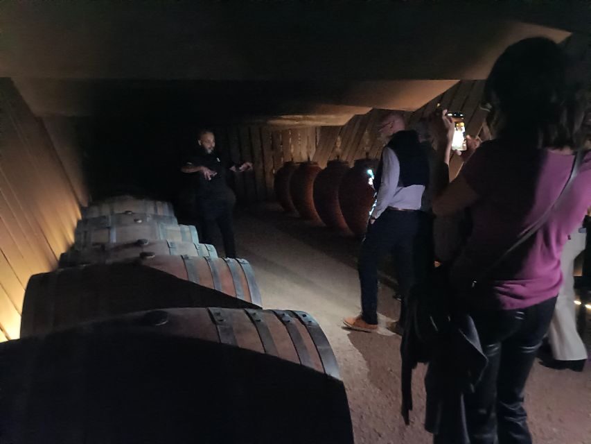 Girona: Local Wineries Tour with Breakfast and Wine Tasting - The Itinerary Breakdown: What You Can Expect