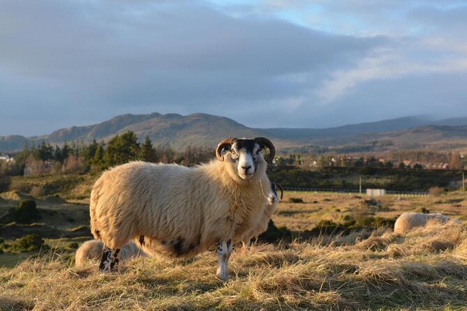 Glorious Scotland Scenic Tour From Glasgow Area - Key Points