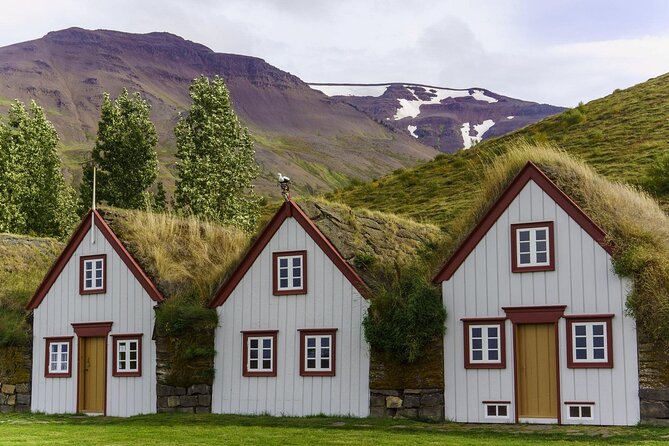 Godafoss Waterfall & Turf House Half-Day Tour from Akureyri Port - An Overview of the Experience