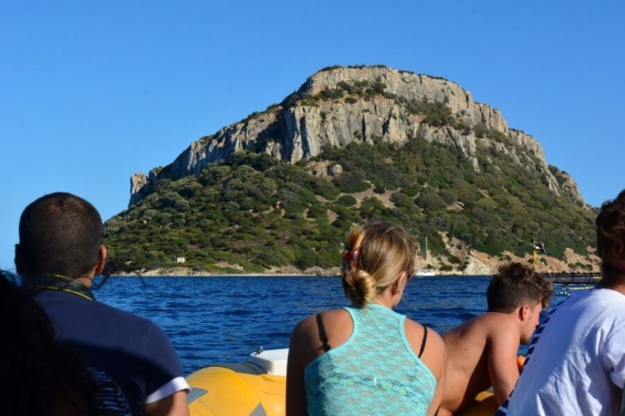 Golfo Aranci: Eco-Friendly Dolphin Watching Boat Trip - A Closer Look at the Dolphin Watching Tour
