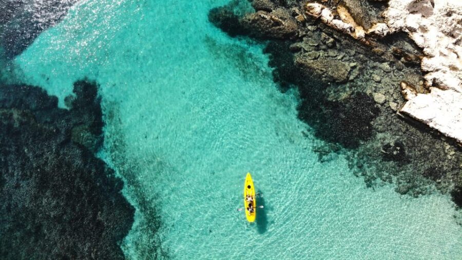 Golfo Aranci: Small group Kayak tour with Aperitif &dolphins - Detailed Breakdown of the Itinerary