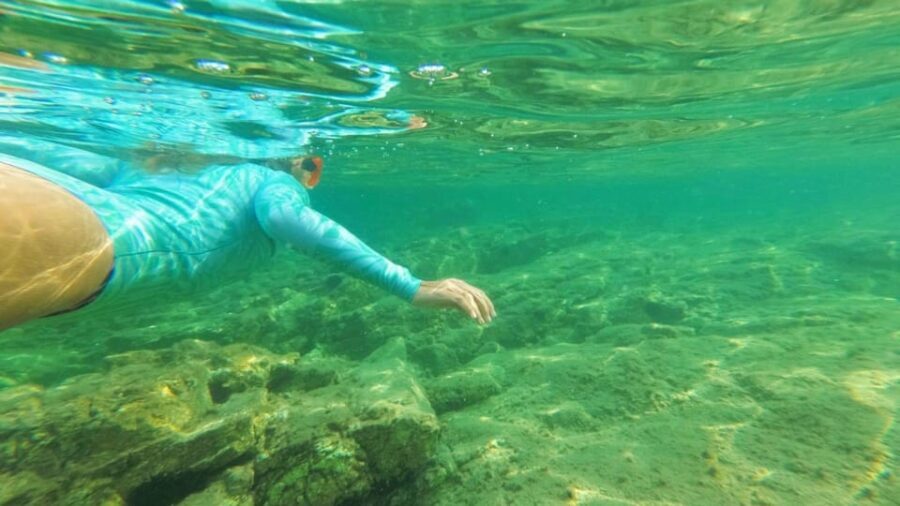 Golfo Aranci: snorkelling in Cala Moresca - The Marine Environment and Why It Matters