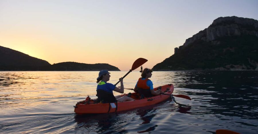Golfo Aranci: Sunrise Dolphin Kayak Tour with Breakfast - An Immersive Experience in Golfo Aranci’s Calm Waters