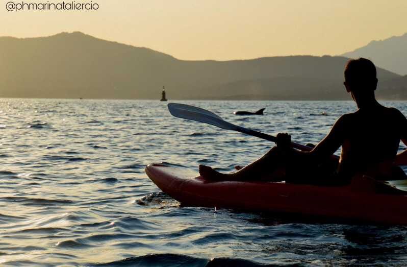 Golfo Aranci: Sunset Dolphin Kayak Tour with Aperitif - Who Will Love This Tour?