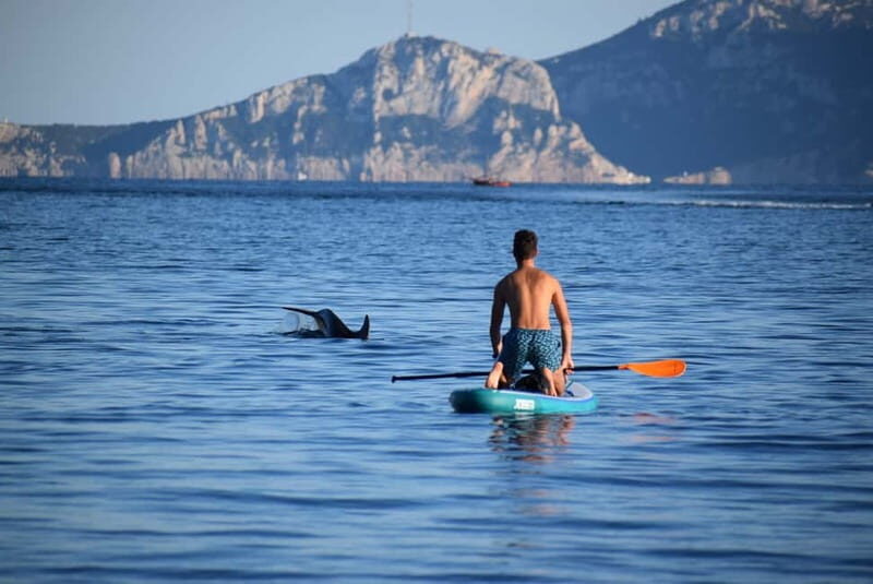Golfo Aranci: Sup with dolphins, aperitif & photo shoot - What Makes This Tour Stand Out?