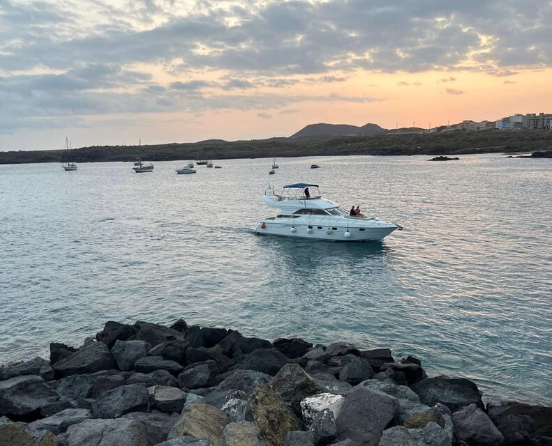 Gourmet cruise at sunset with whale watching - Detailed Breakdown of the Itinerary