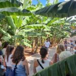 Gran Canaria: Banana World Guided Tour & Tasting - What’s It Like in Practice?