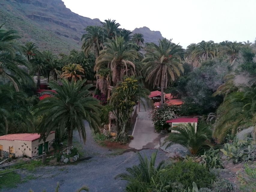 Gran Canaria: Camel Ride at Camel Safari Park - What to Expect on the Ride and Around the Park