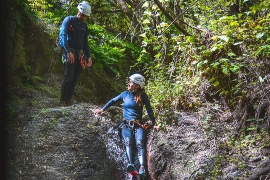 Gran Canaria: Canyoning in the rainforest - Authentic Experiences and Traveler Feedback