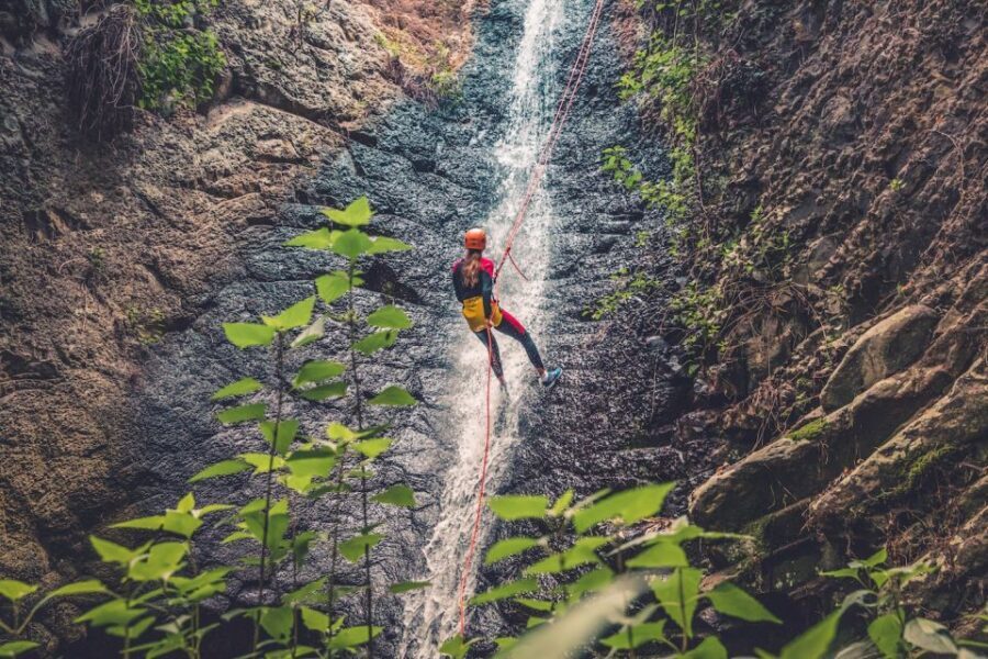 Gran Canaria: Canyoning in the Rainforest - What the Reviews Say