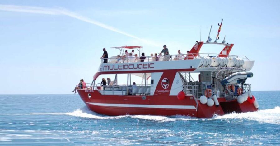 Gran Canaria: Dolphin and Whale Watching Cruise - How Good Is the Value?