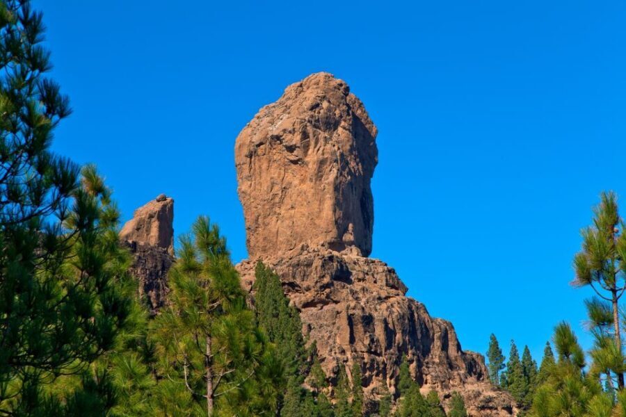 Gran Canaria: Full-Day VIP Tour by Bus - Authentic Experiences and What You’ll Remember