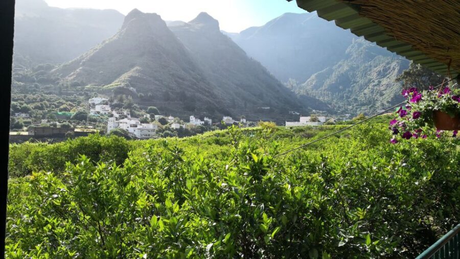 Gran Canaria: Grand Island Tour by Bus with Transfers - The Value of the Tour