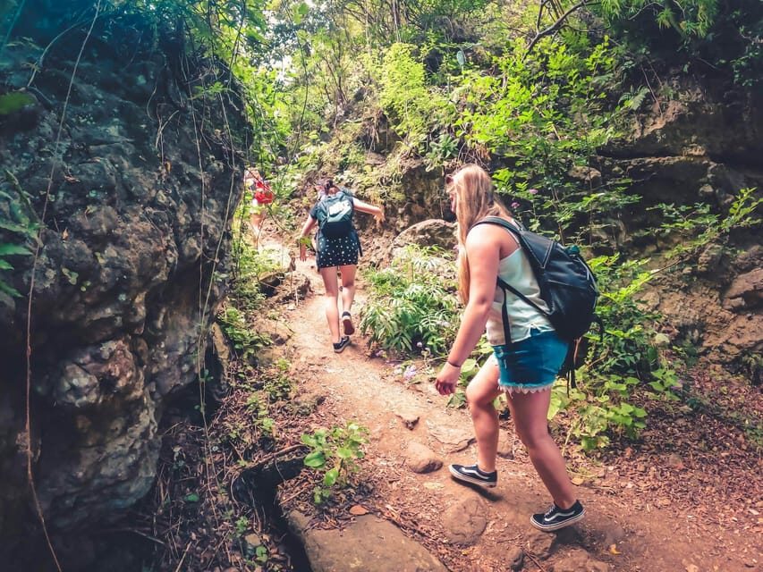 Gran Canaria: Guided Day Tour to Rainforest with Tasting - Practical Details and Logistics