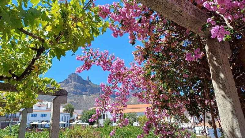 Gran Canaria: Highlights & hidden gems by 2 local guides - Scenic Drive and the Valley of 1,000 Palms