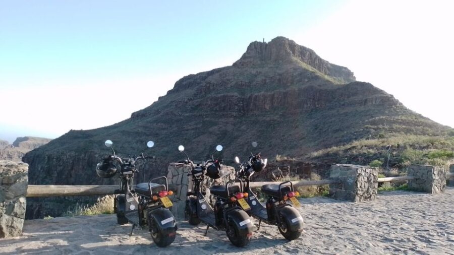 Gran Canaria: Los Pilancones Natural Park e-Scooter Tour - Who Will Love This Tour?