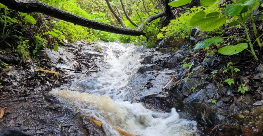Gran Canaria: "Magic Waterfalls" Hiking Tour - Transportation, Duration, and Group Size