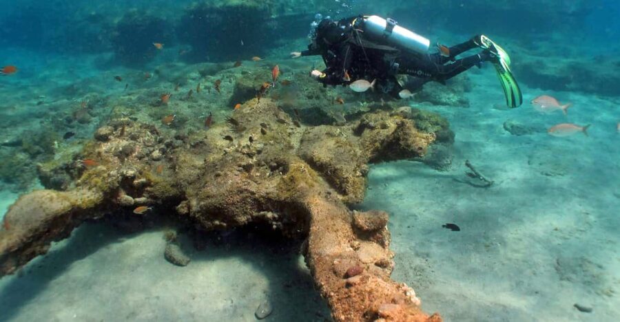 Gran Canaria Scuba Diving: 1-Day 2-Dive Package - Who Should Consider This Tour?