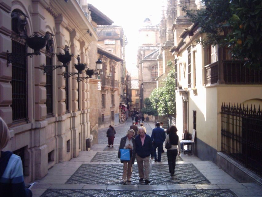 Granada (Albaicín) Private Guided Walking Tour - Why This Tour Offers Good Value