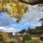 Granada: Alhambra & Generalife Fast-Track Guided Tour - What’s Included and Why It Matters