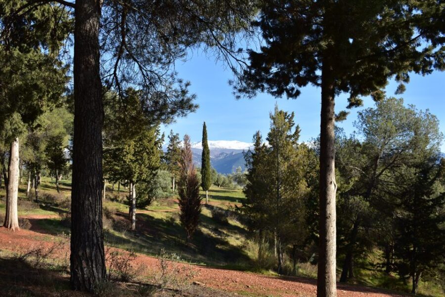 Granada: Alhambra Natural Park Hiking Tour - How This Tour Fits into Your Granada Visit