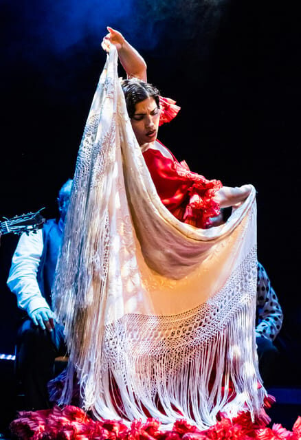 Granada: Flamenco Show "Sensaciones" at the Flamenco Theater Granada - Who Should Consider This Flamenco Show?