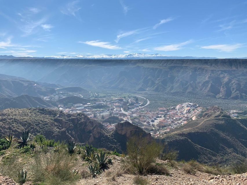 Granada Geopark: Desert and Prehistory Tour with Lunch - What to Expect: A Day in Granada Geopark