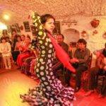 Granada: Sacromonte Caves Flamenco Show with Dinner - Who Will Love This Tour?