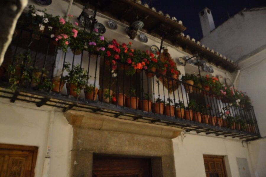Granada: Sacromonte Caves Flamenco Show - Who Should Consider This Tour?