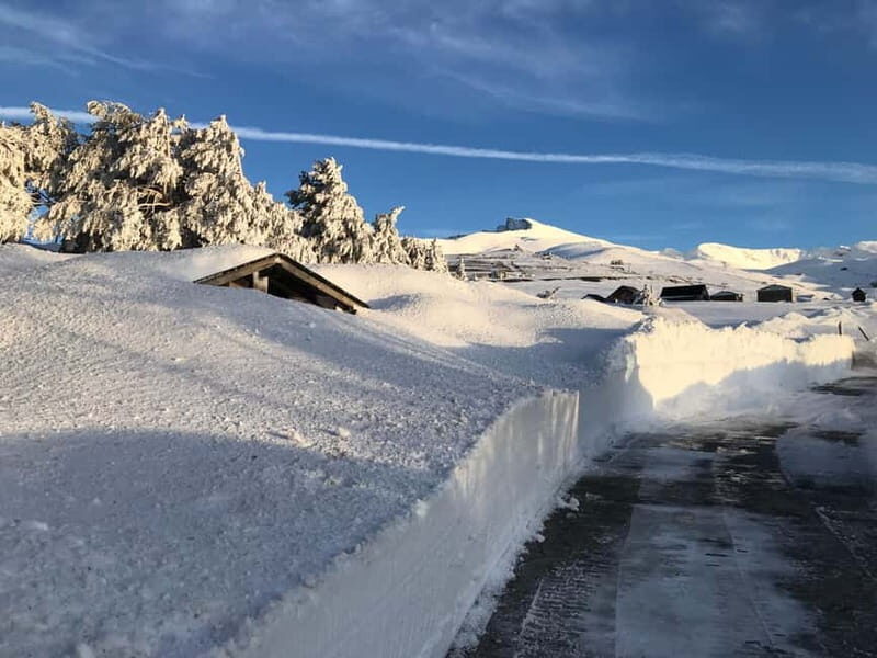 Granada: Sierra Nevada Safari Tour to 2500 m with a Drink - Highlights and Notable Stops
