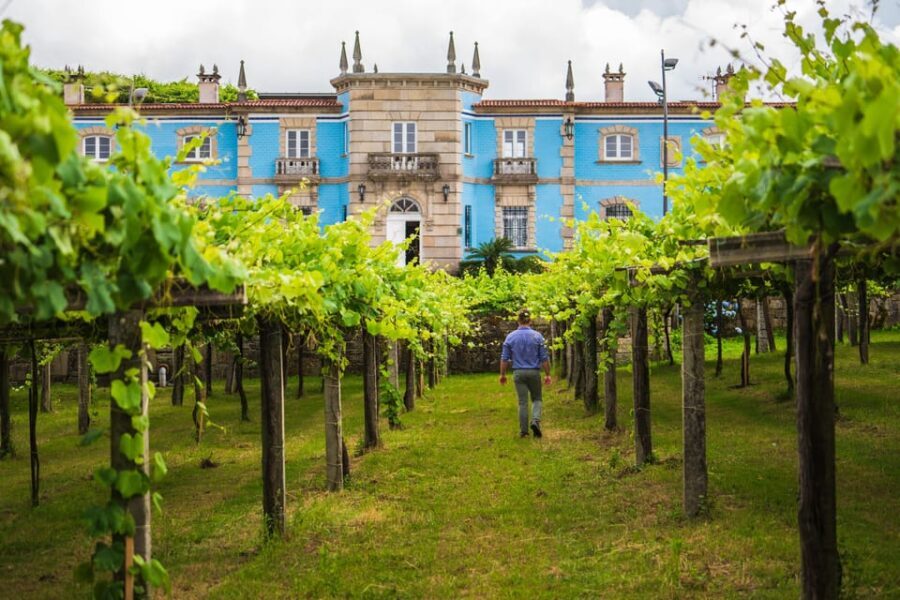 Granbazán Winery: Guided Tour and Wine Tasting - Who Should Consider This Tour?