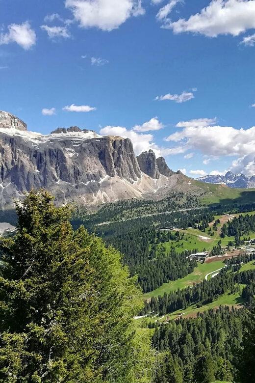 Grand Dolomites Tour to Fiemme & Fassa Valleys & Pordoi Pass - What Travelers Are Saying