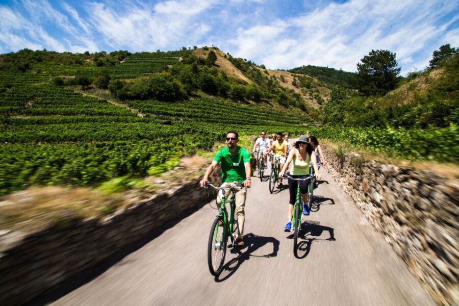 Grape Grazing: Wachau Valley Winery Biking Tour - The Complete Experience: An In-Depth Look