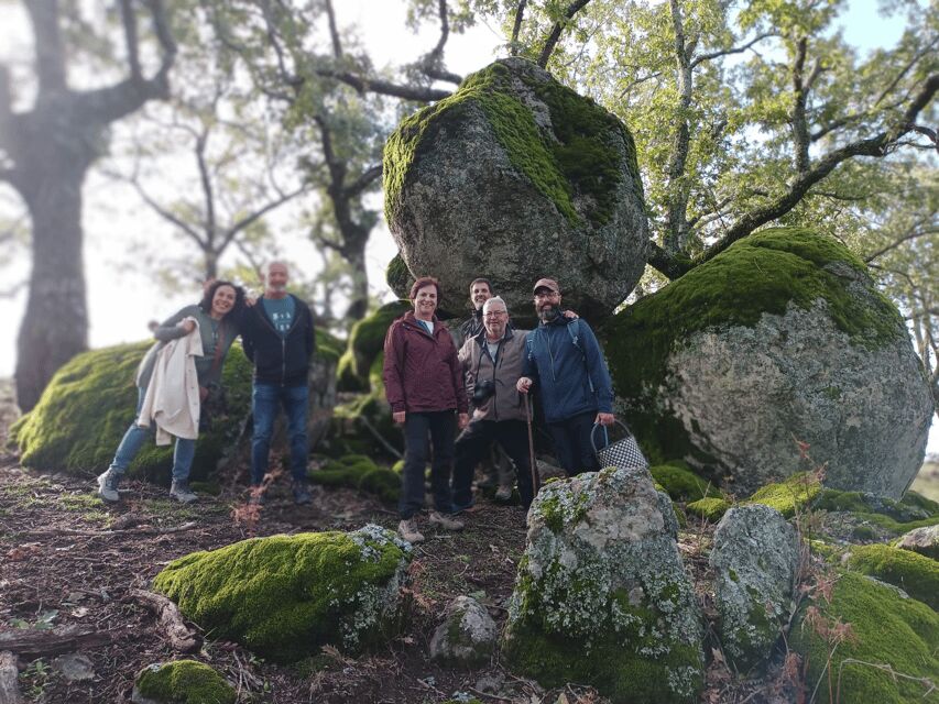 Gredos: Guided Hike in the Vettón Forest - What’s Included and What’s Not