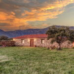 Greece in a Drop: Olive Grove Walk and Olive Oil Tasting - Practical Details: What to Know Before Booking