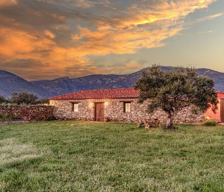 Greece in a Drop: Olive Grove Walk and Olive Oil Tasting - Practical Details: What to Know Before Booking