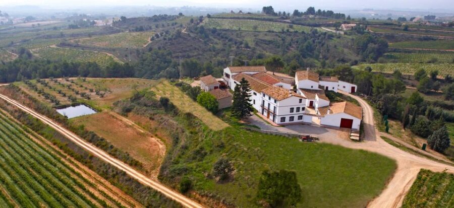 Guardiola de Font-Rubí: Winery & Grill Menu Tour - What Makes This Tour Stand Out?