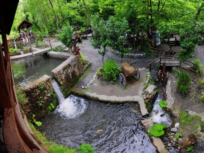 Guided Day Trip to Sapanca and Masukiye From Istanbul - What Travelers Say