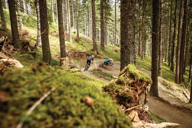 Guided downhill biking at Bikepark Innsbruck - Guided downhill biking at Bikepark Innsbruck: a detailed review