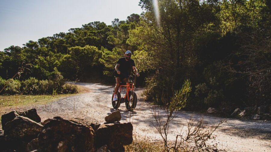 Guided E-Bike Tour Ibiza - What to Expect: A Deep Dive into the Itinerary