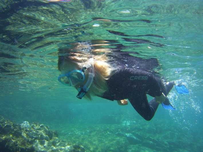 Guided Snorkelling experience in south of Gran Canaria - The Itinerary and What to Expect