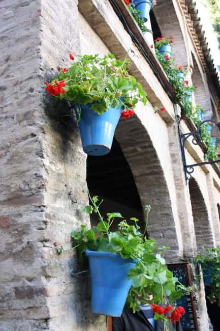 Guided tour in Spanish to the courtyards of Córdoba - What to Expect During the Tour