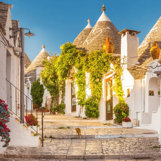 Guided Tour of Alberobello Trulli with Transfer included - The Practicalities and What You Should Know