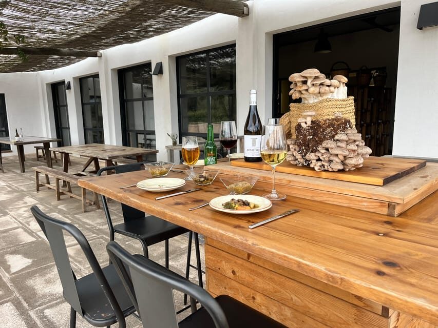 GUIDED TOUR + TASTE IN A MUSHROOM FARM - What to Expect on Your Visit